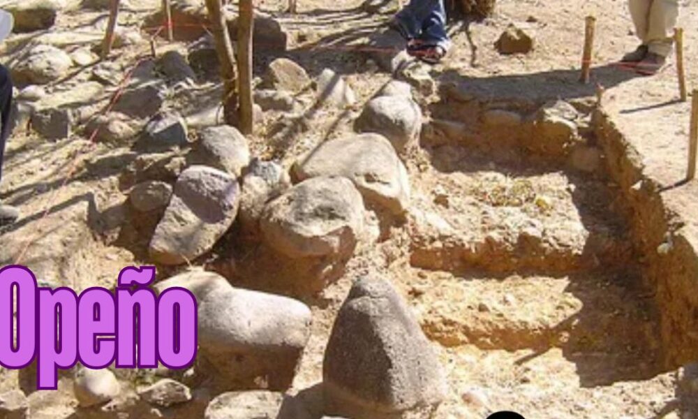 Everything you need to know about Opeño