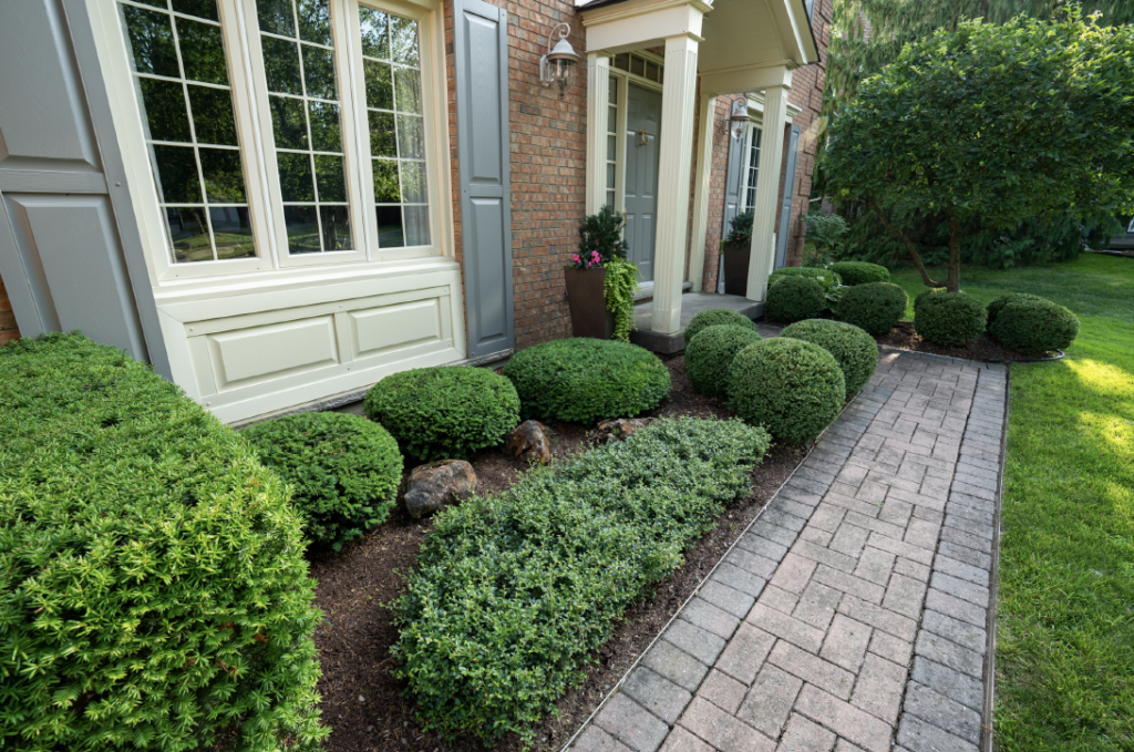 The Importance of Regular Maintenance from a Landscaping Company